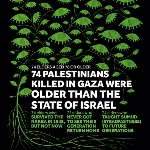 74 Elders - Visualizing Palestine